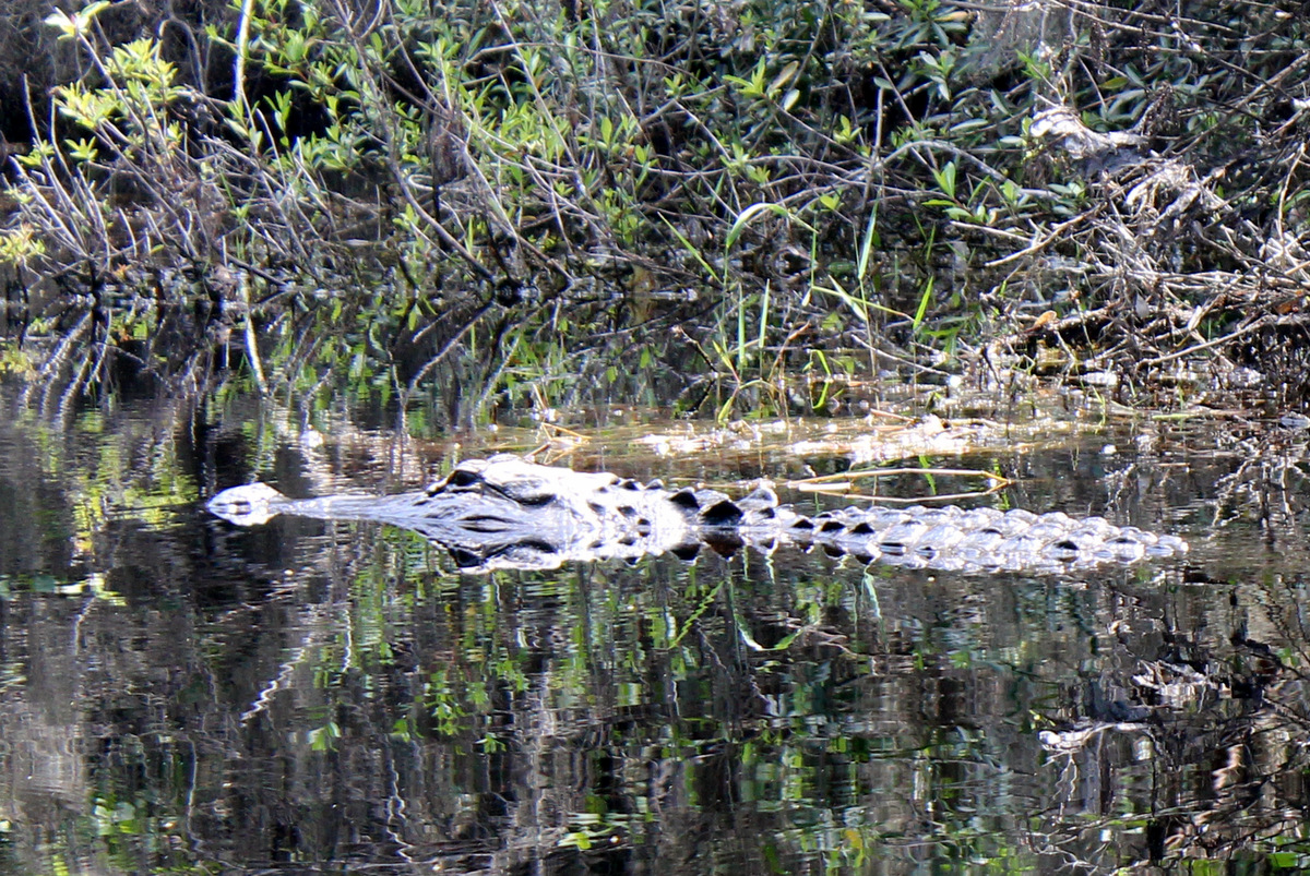 Georgia Outdoor Adventures – HUNTING & FISHING IN THE PEACH STATE