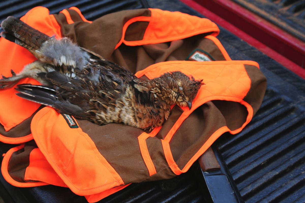 Georgia Grouse Hunts – Georgia Outdoor Adventures