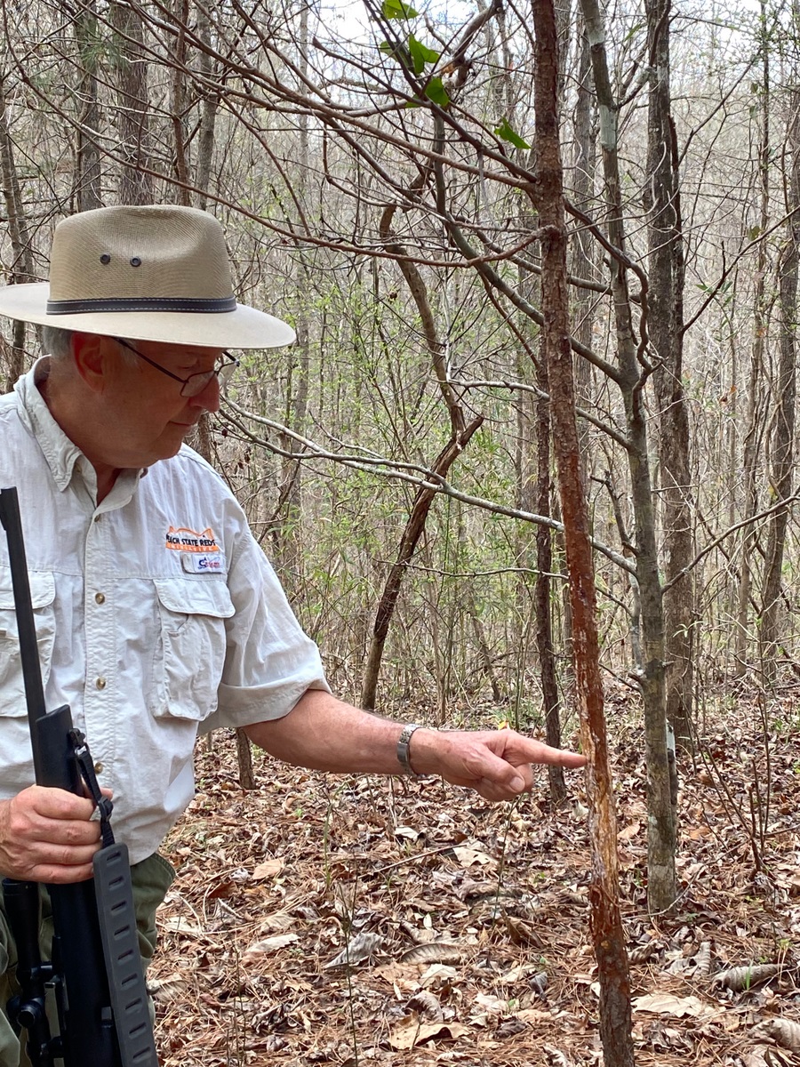 Understanding The Rut – Georgia Outdoor Adventures